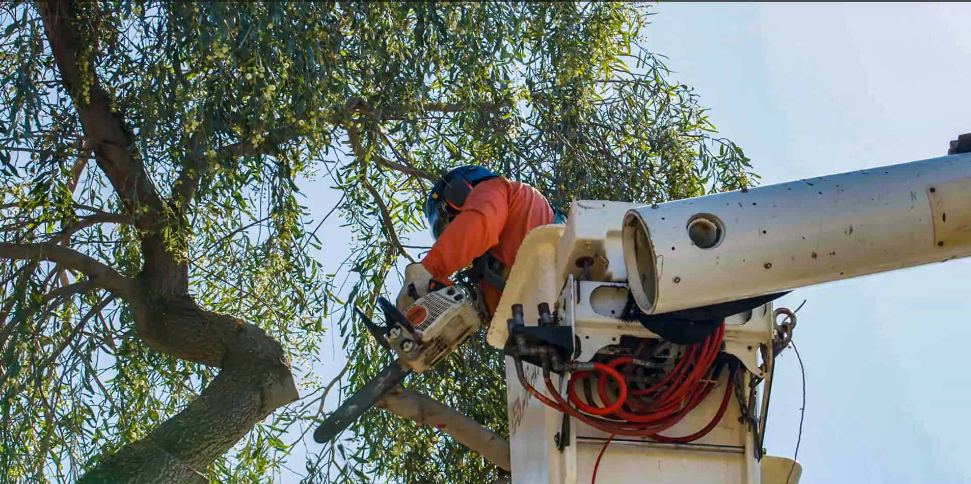 King's Tree Service
