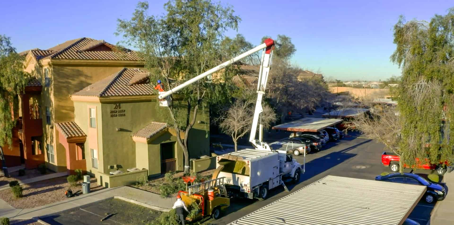 King's Tree Service