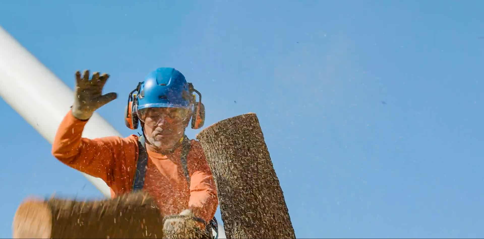 About King's Tree Services - King's Tree Services