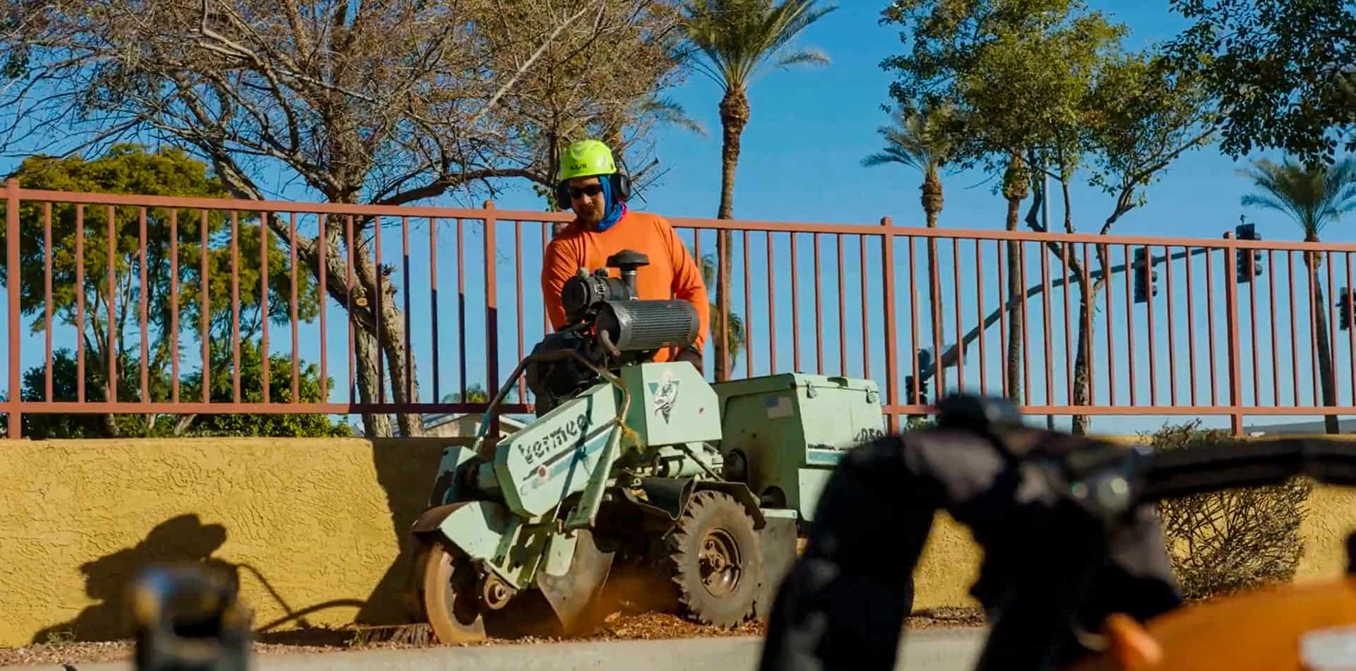Phoenix Stump Removal & Grinding Service | Contact Us Now